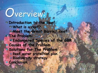 Great barrier reef presentation | PPTX