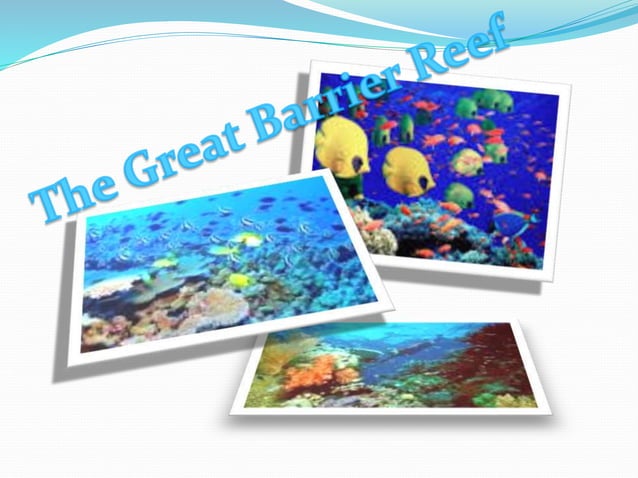 Great barrier reef. | PPTX