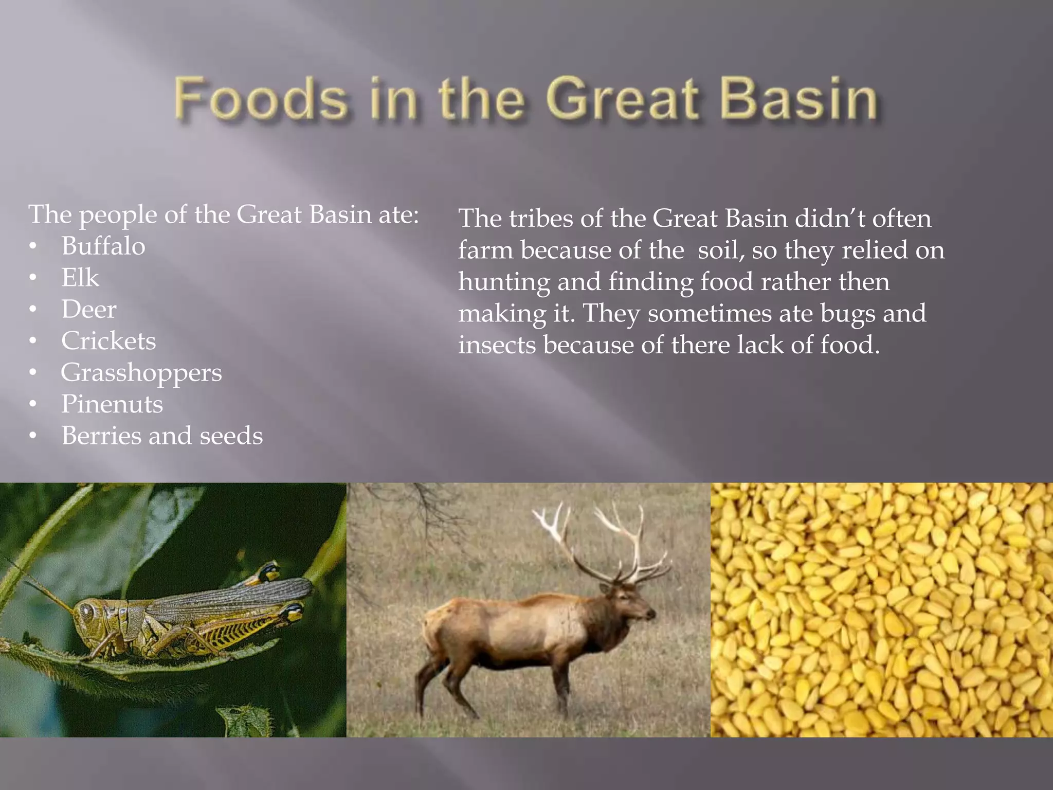 Great Basin Native Americans | PPTX