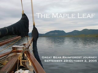 Great Bear Rainforest | PPT