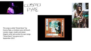 Great dane (house tour) treatment | PPT