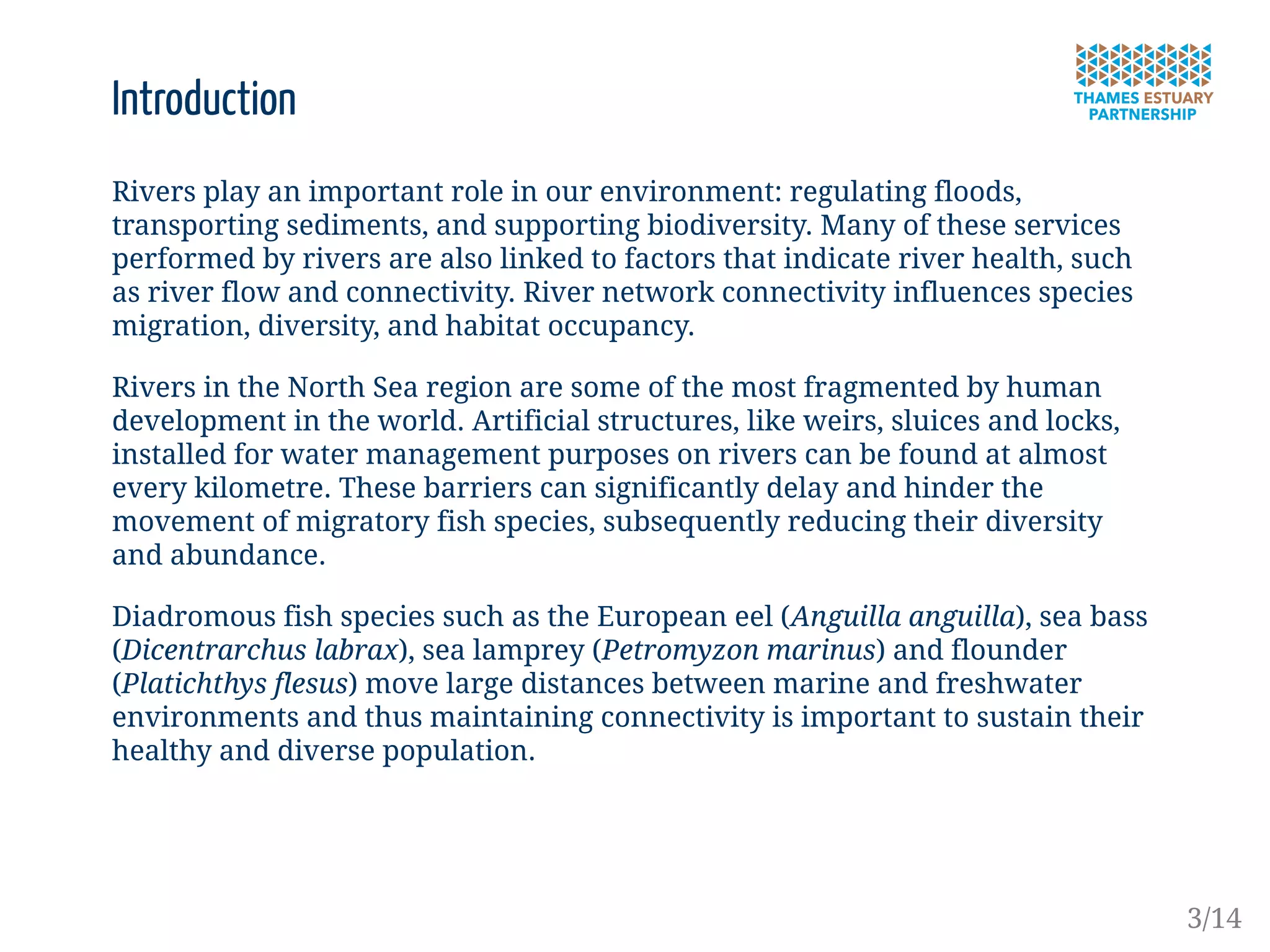Greater thames estuary fish migration roadmap | PPT