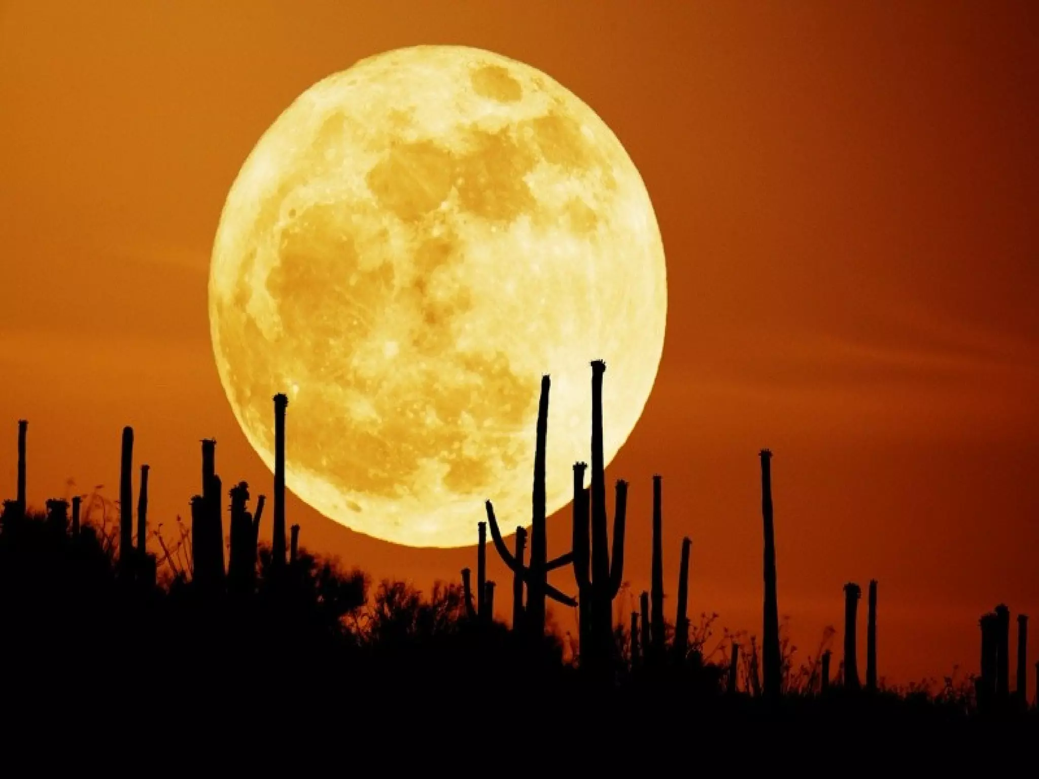 Greatest Moon Photos Ever | PPS