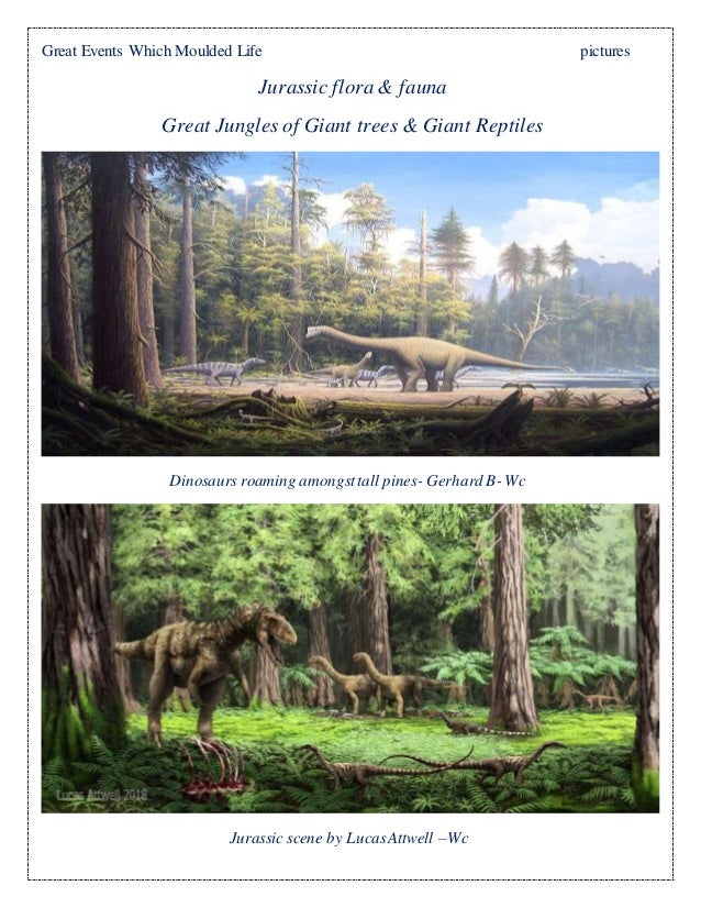 Jurassic Period Plants