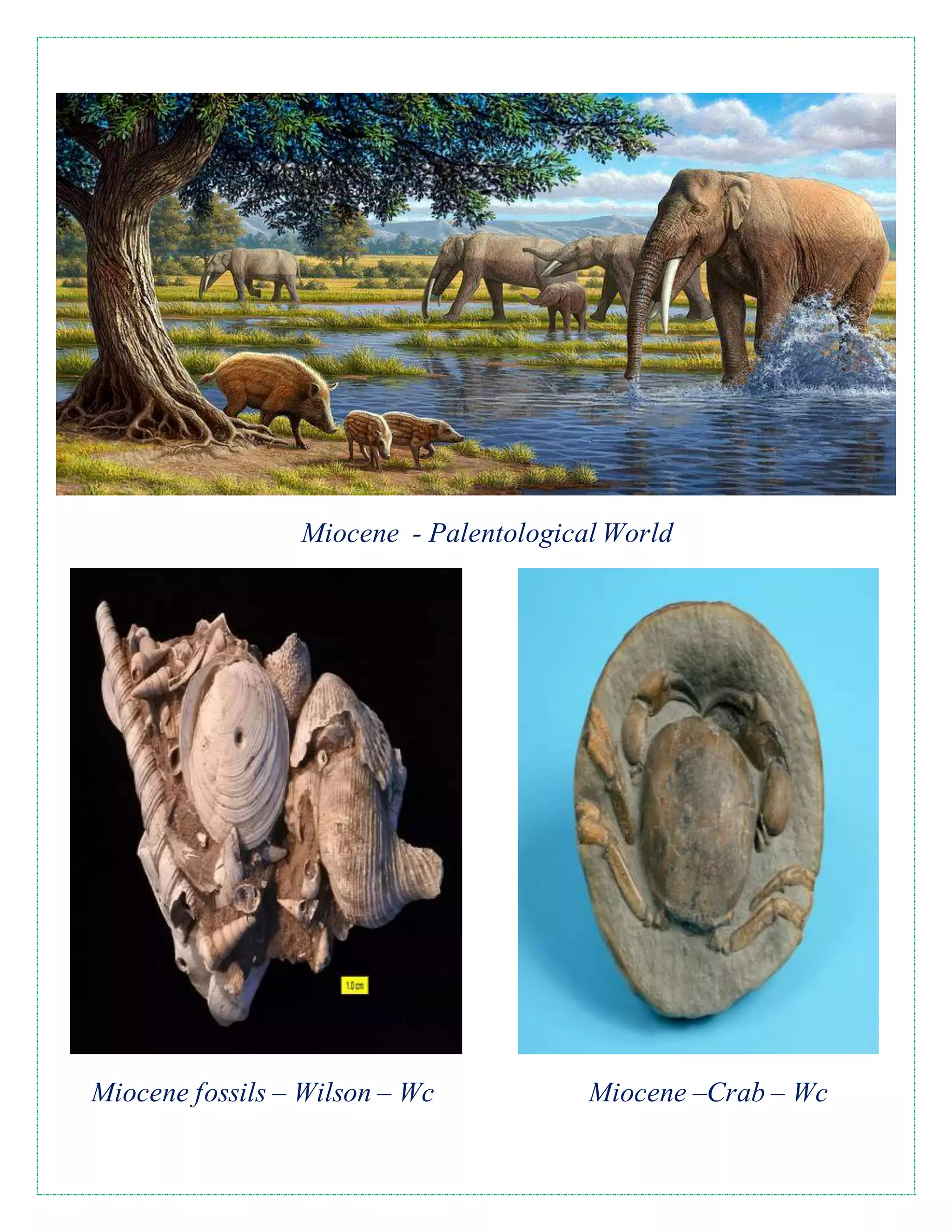 Great events which moulded life neogene & pleistocene pictures | DOCX