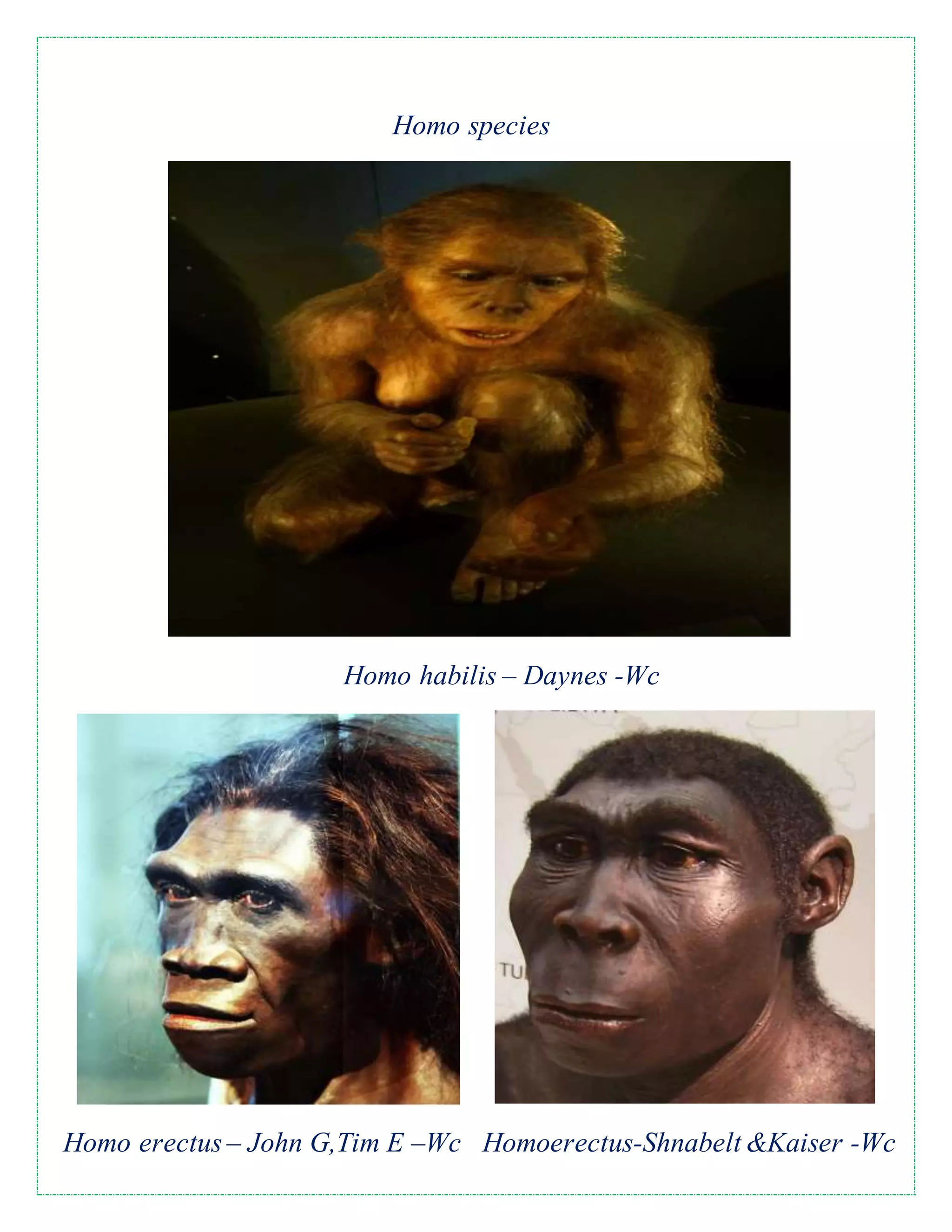 Great events which moulded life neogene & pleistocene pictures | DOCX