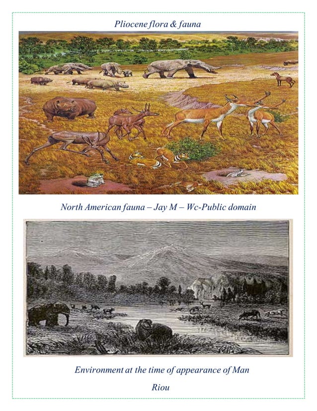 Great events which moulded life neogene & pleistocene pictures | DOCX