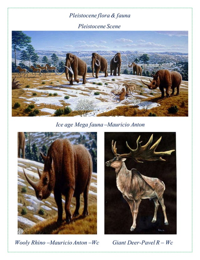 Great events which moulded life neogene & pleistocene pictures | DOCX