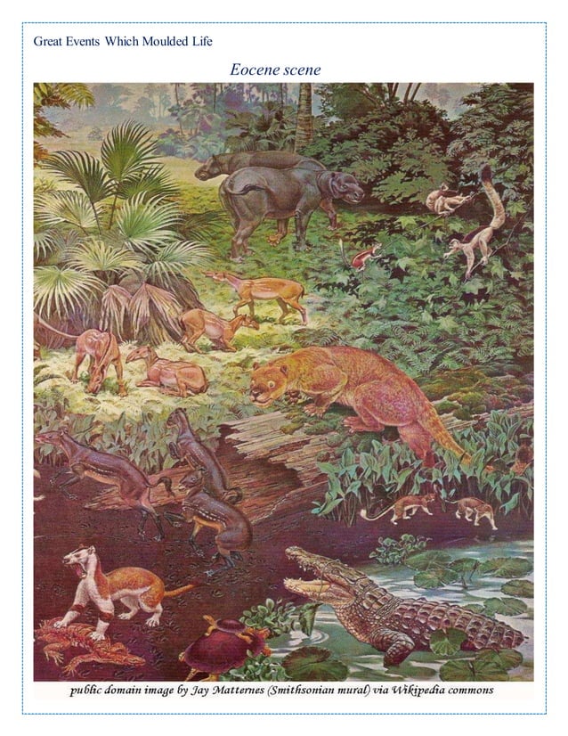 Great events which moulded life tertiary period paleogene -pictures ...