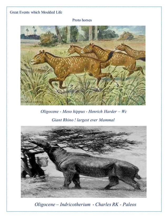 Great events which moulded life tertiary period paleogene -pictures ...
