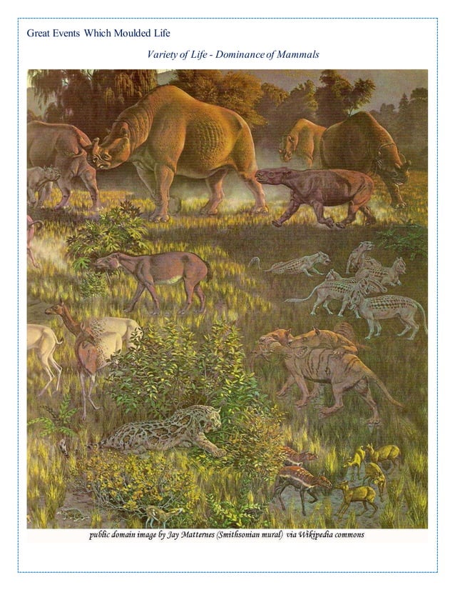 Great events which moulded life tertiary period paleogene -pictures ...