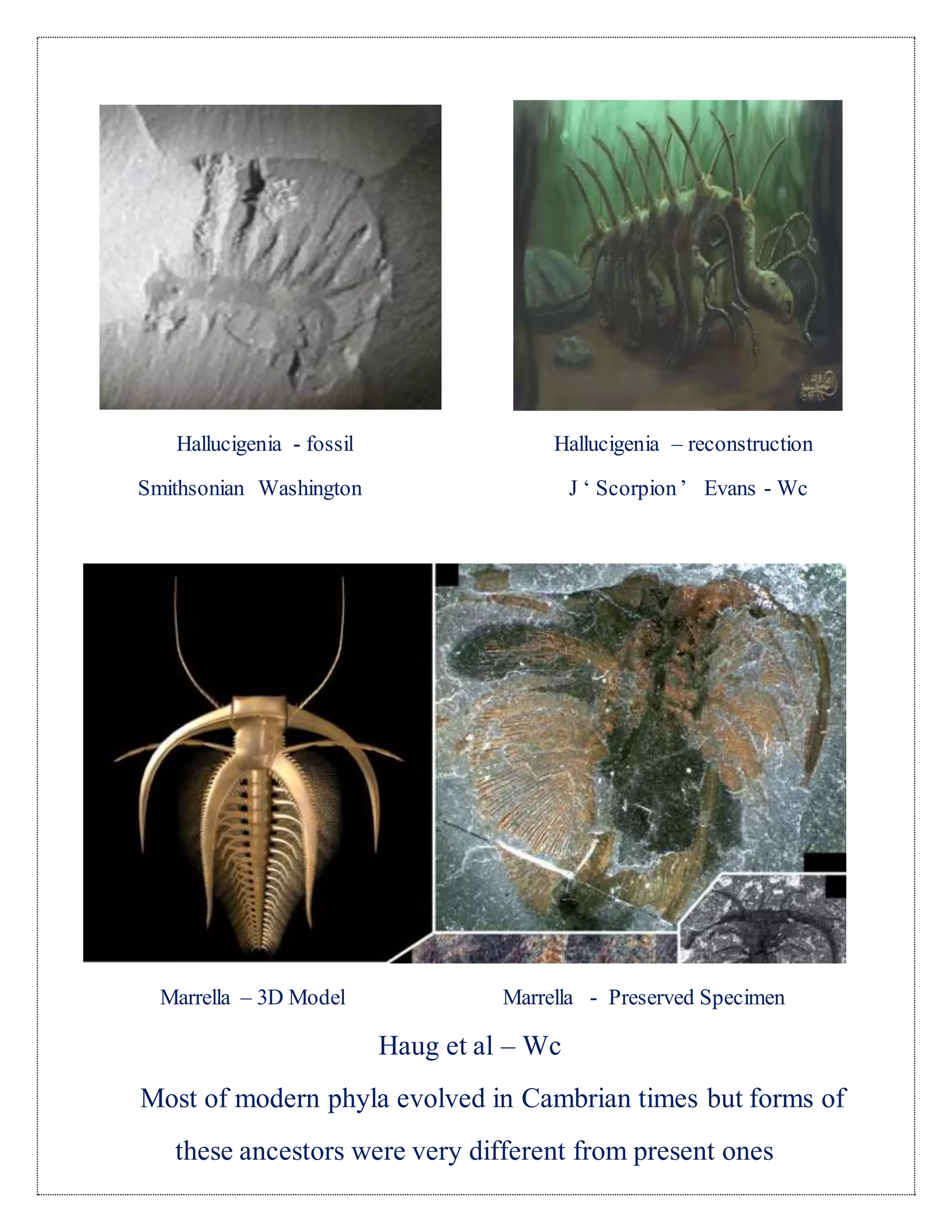 Great events which moulded life- pictures-cambrian period | DOCX