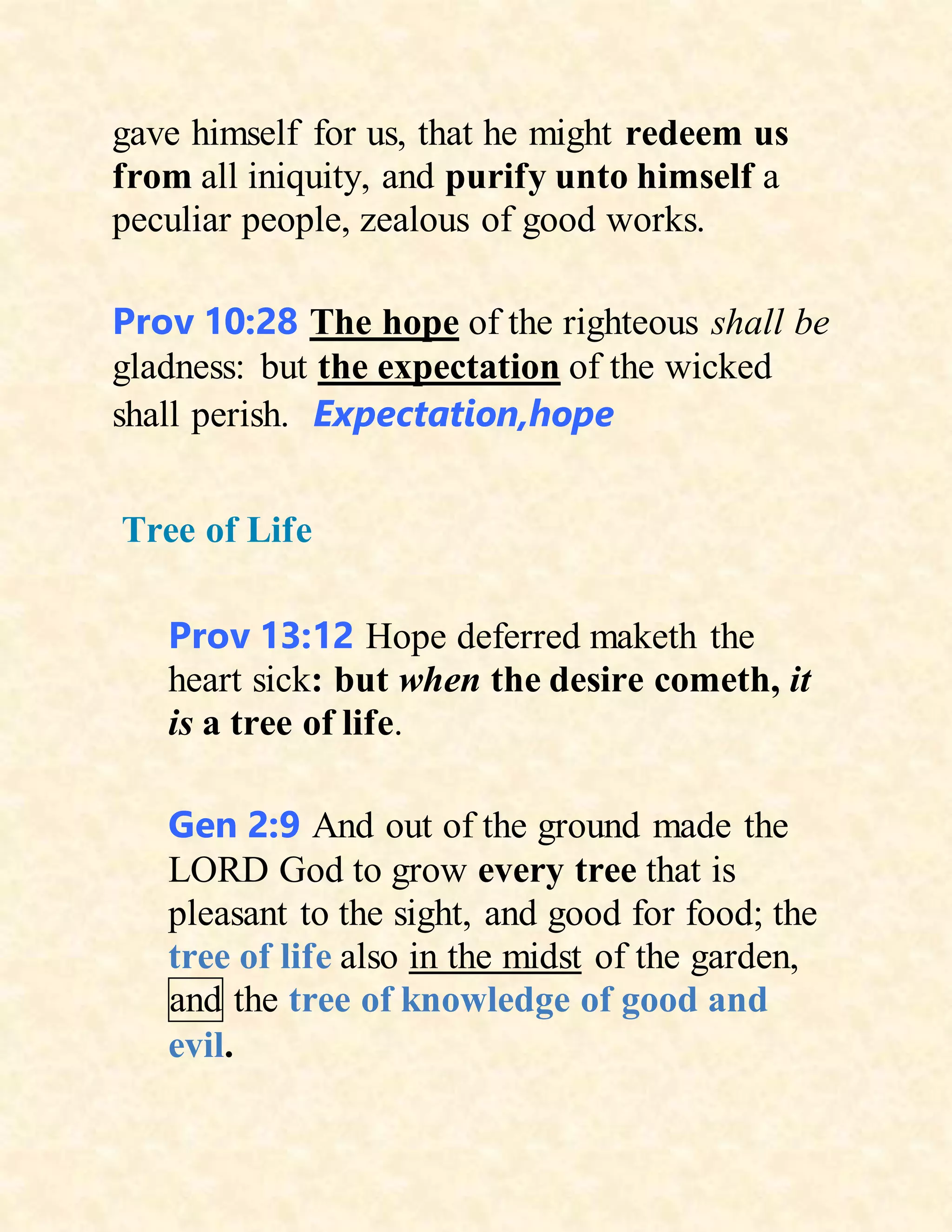 Great Expectations | DOCX