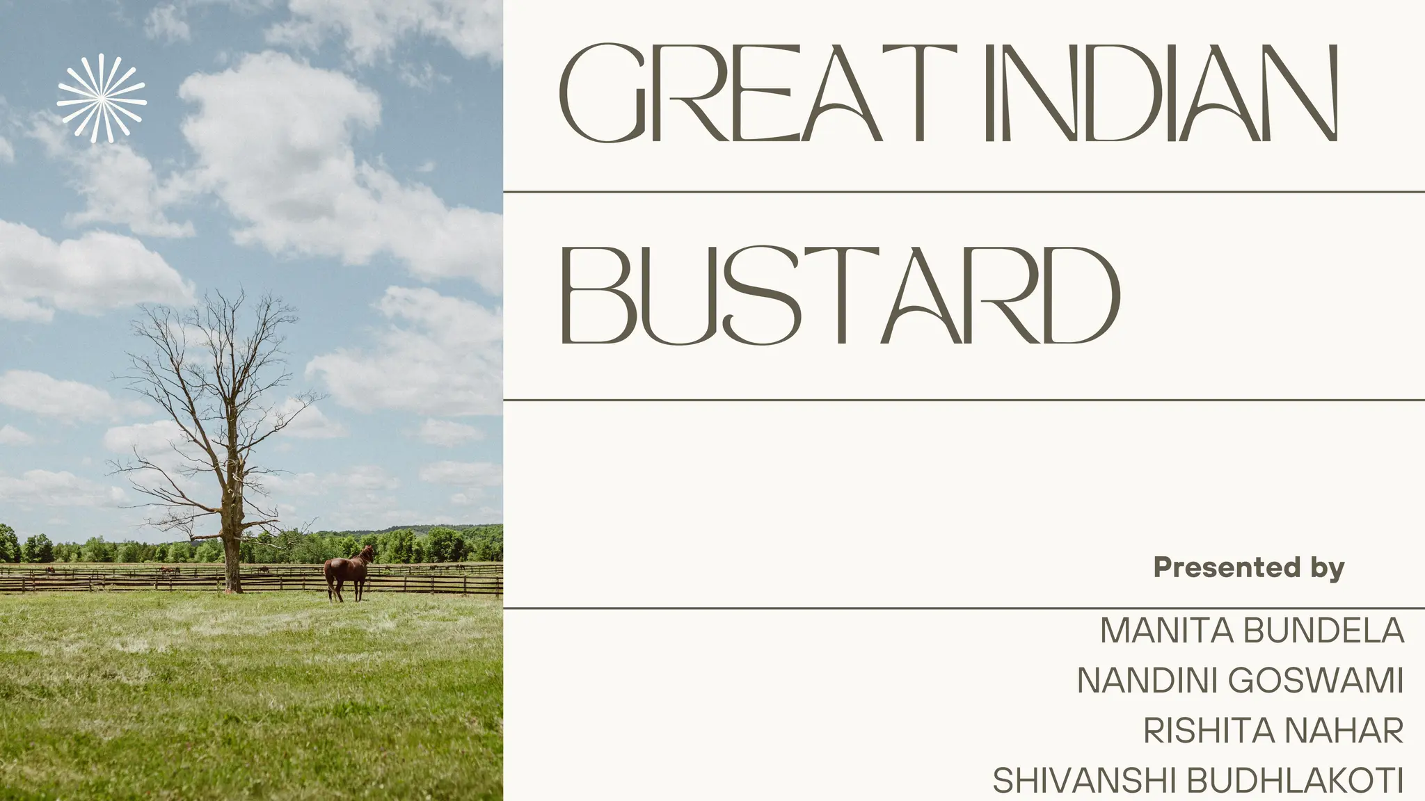 GREAT INDIAN BUSTARD project for EVS semester 3 Delhi university | PPT