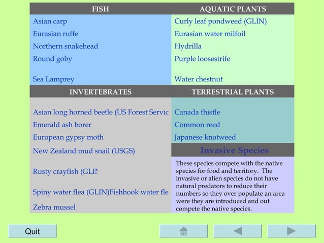 Great Lakes Basin Ecosystem | PPT | Fishing Sports | Sports