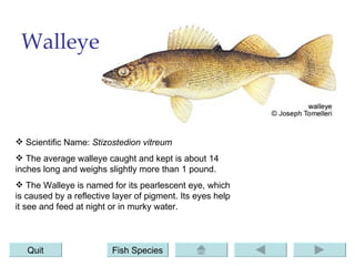 Great Lakes Basin Ecosystem | PPT