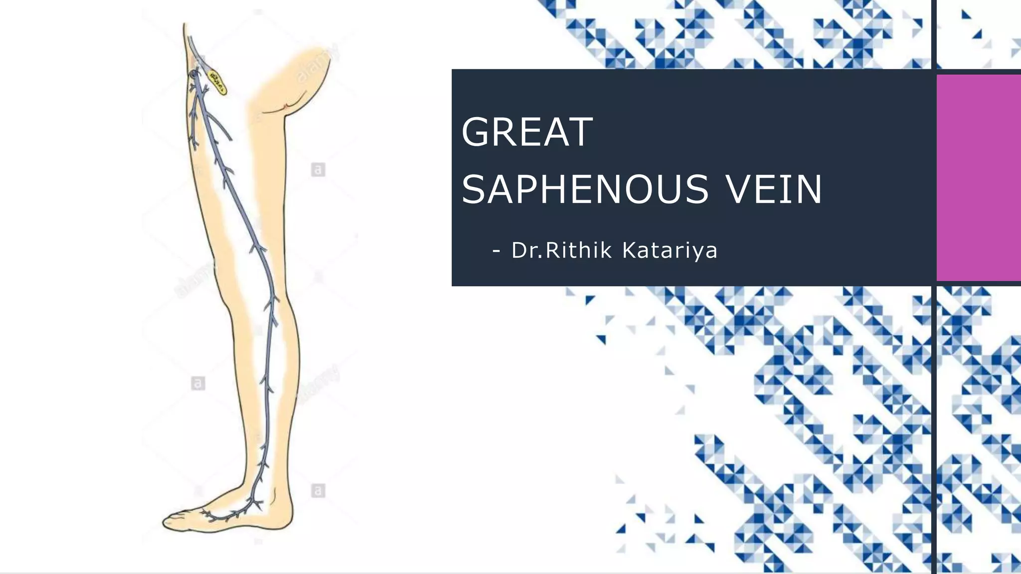 Great saphenous vein | PPTX