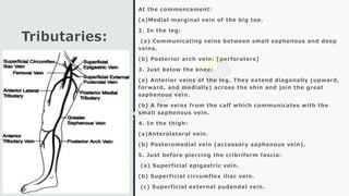 Great saphenous vein | PPTX