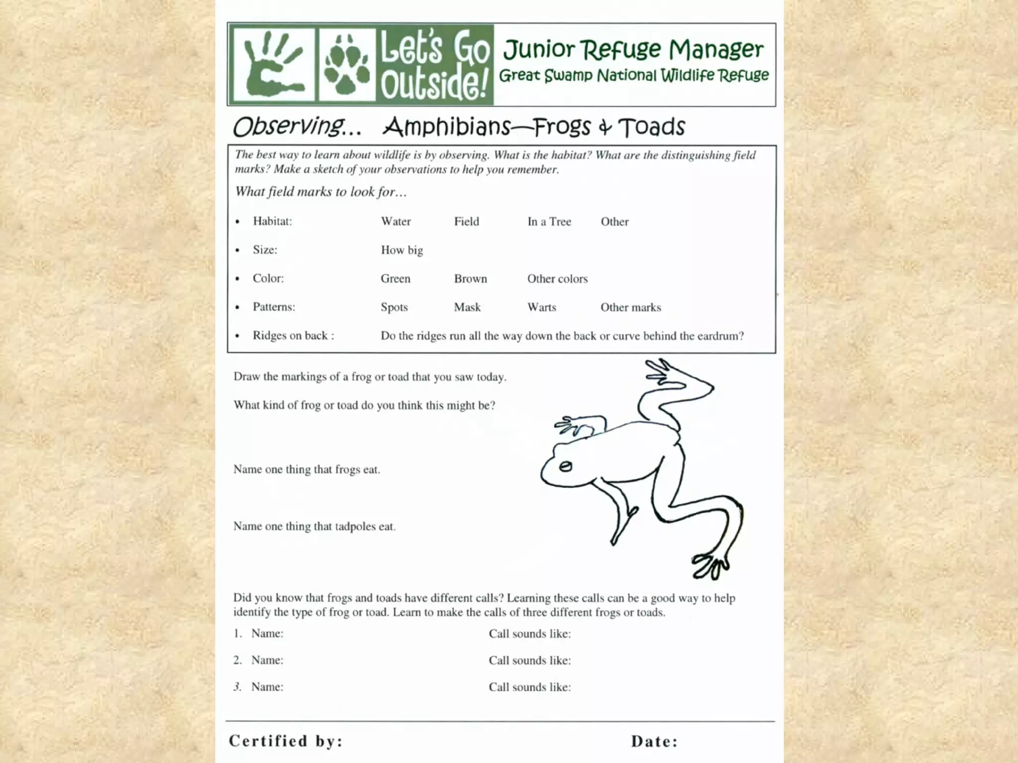 Junior Refuge Manager | PPT