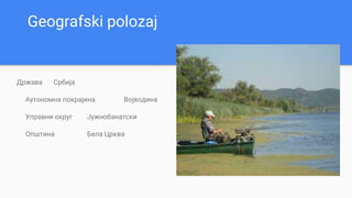 Grebenac prezentacija | PPTX