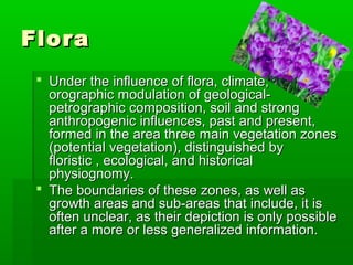 Greece flora & fauna ver 1 | PPT