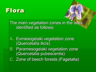 Greece flora & fauna ver 1 | PPT