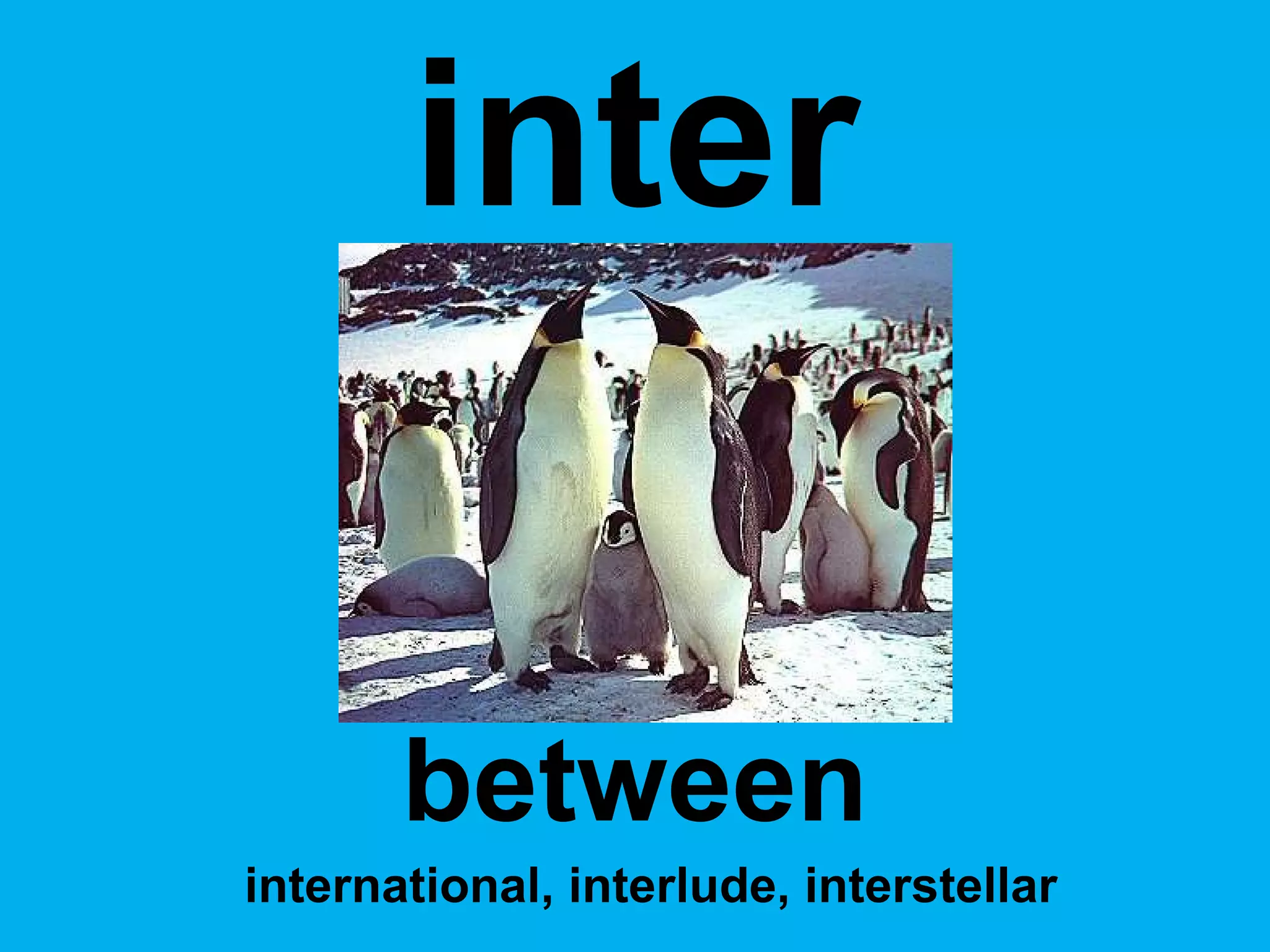 Greek And Latin root & affixes Ppt | PPT