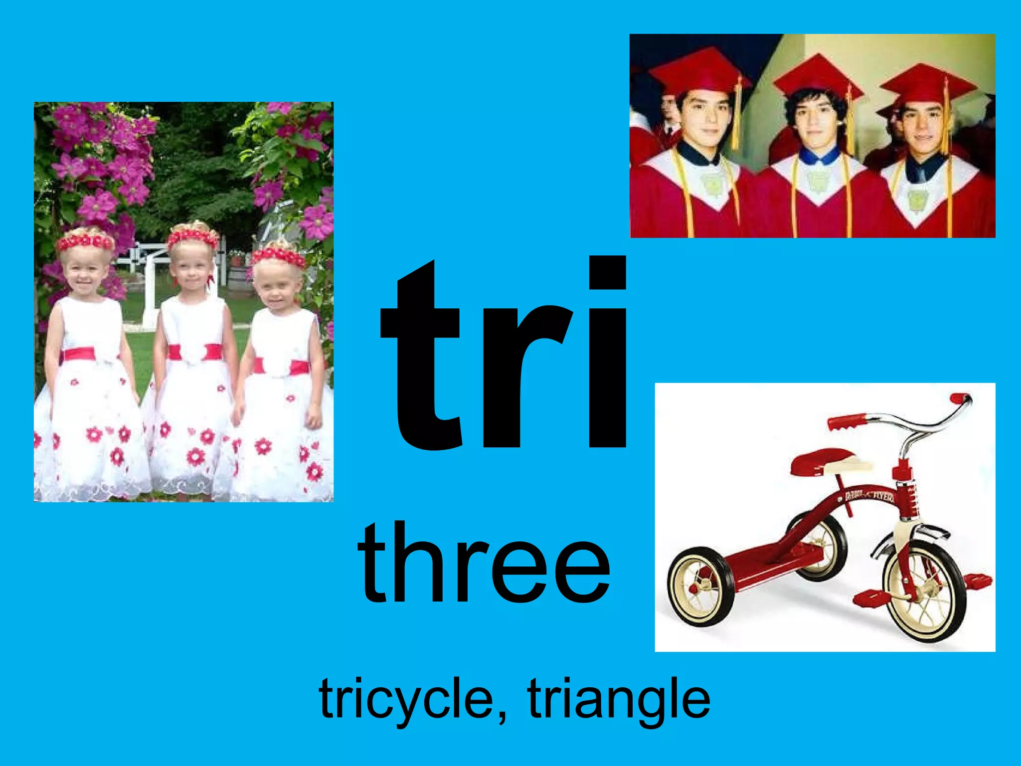 Greek And Latin root & affixes Ppt | PPT