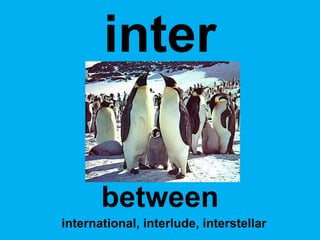 Greek And Latin root & affixes Ppt | PPT