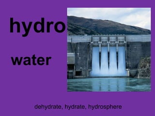 Greek And Latin root & affixes Ppt | PPT