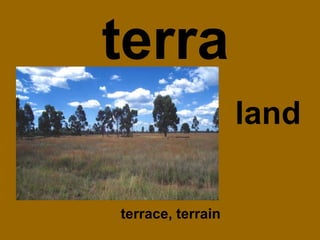 Greek And Latin root & affixes Ppt | PPT