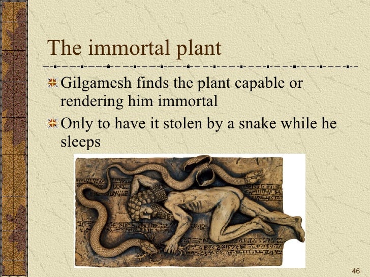 Greek and romans intro and chapter01