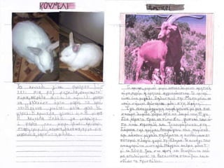 Greek Animal Encyclopedia | PDF