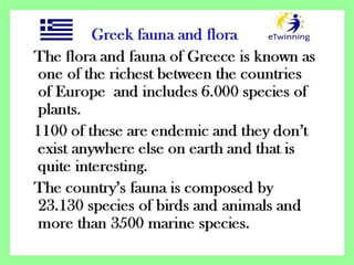 Greek fauna and flora | PPT