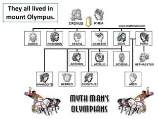 12 Gods Of Olympus Family Tree