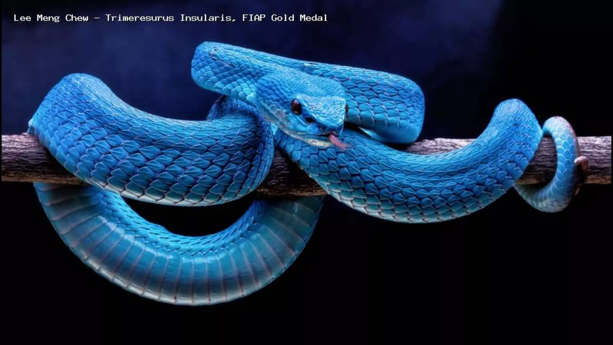 Greek Photographic Circuit 2018 (1) | PPSX