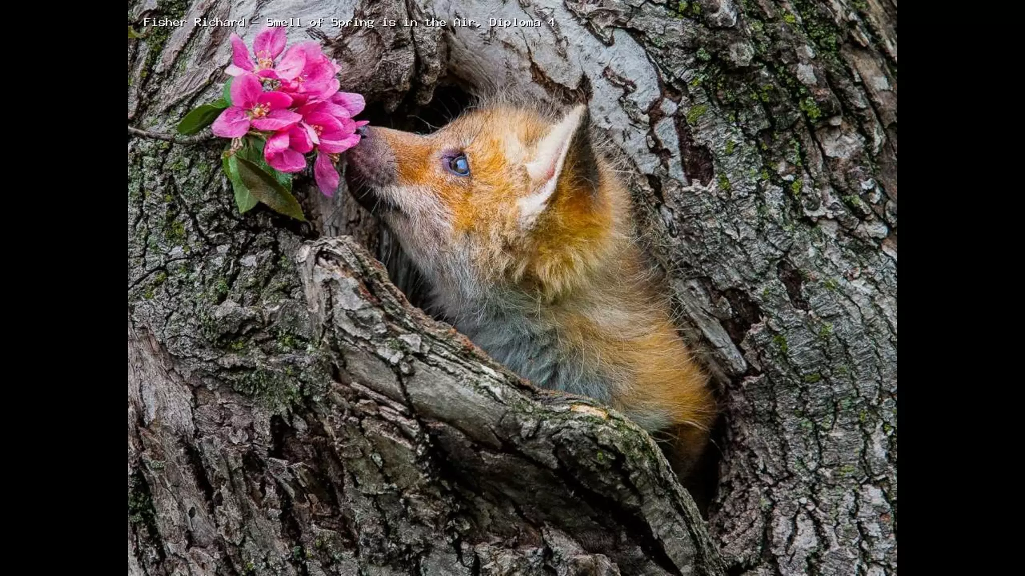 Greek Photographic Circuit 2018 (1) | PPSX