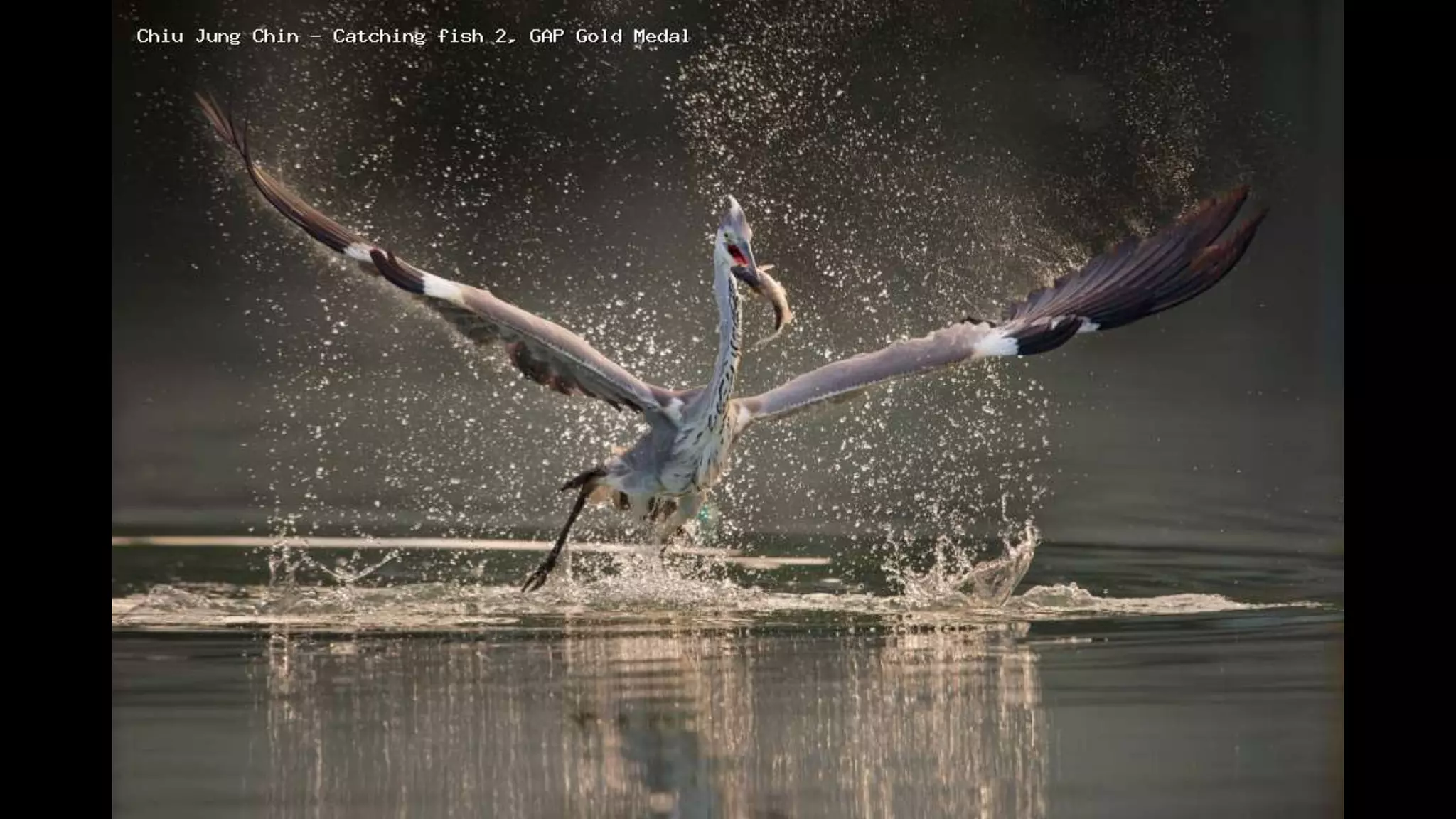 Greek Photographic Circuit 2018 (1) | PPSX