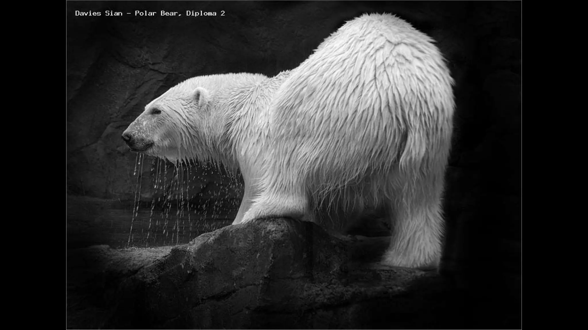 Greek Photographic Circuit 2018 (1) | PPSX