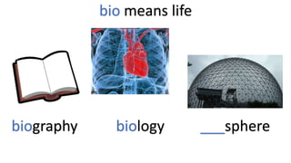 Greek Roots Powerpoint (1).pptx