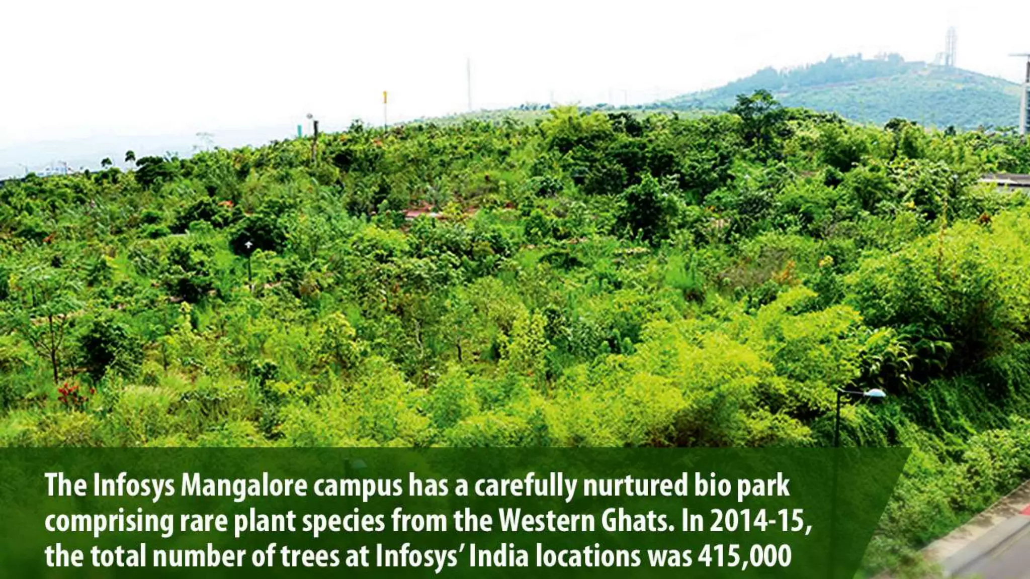 Infosys 'Go Green' Initiative | PPTX