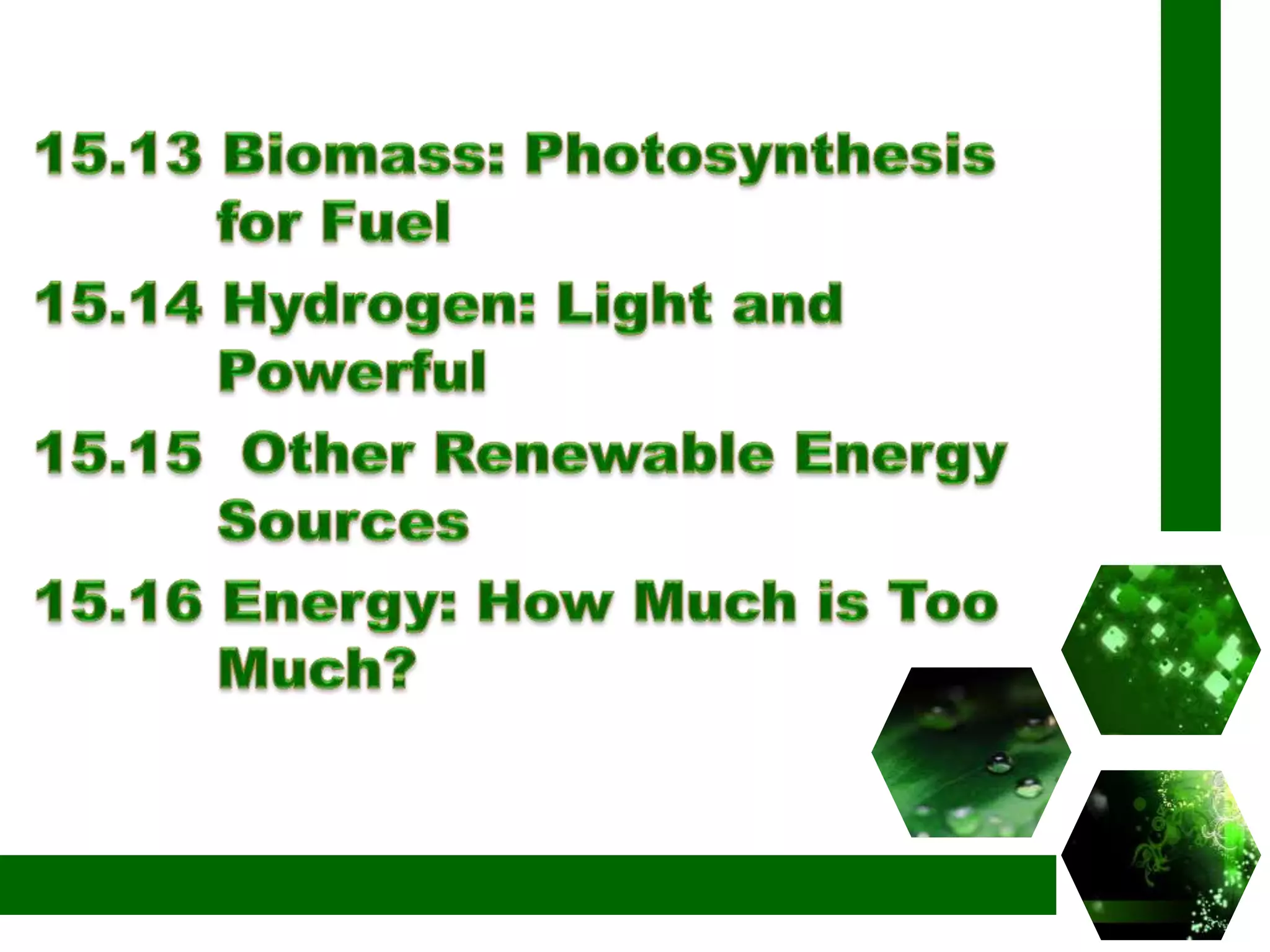BIOMASS: Photosynthesis for Fuels | PPT