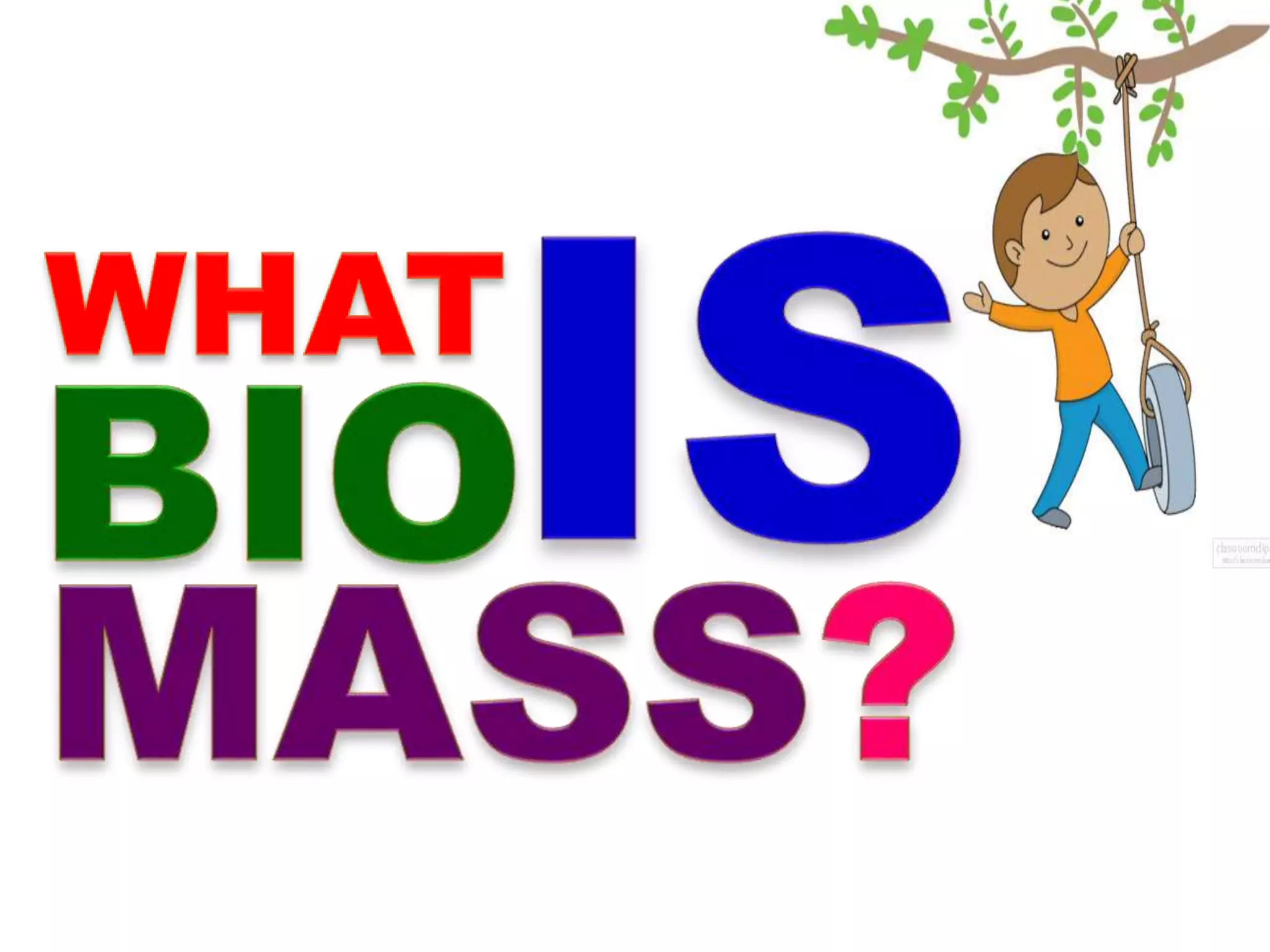 BIOMASS: Photosynthesis for Fuels | PPT