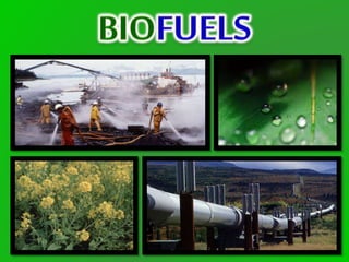 BIOMASS: Photosynthesis for Fuels | PPT