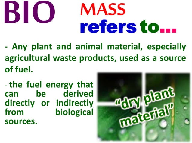 BIOMASS: Photosynthesis for Fuels | PPT