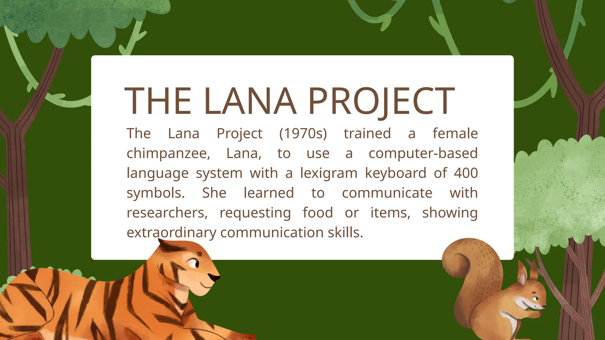 Non-human communication -Presentation.pptx