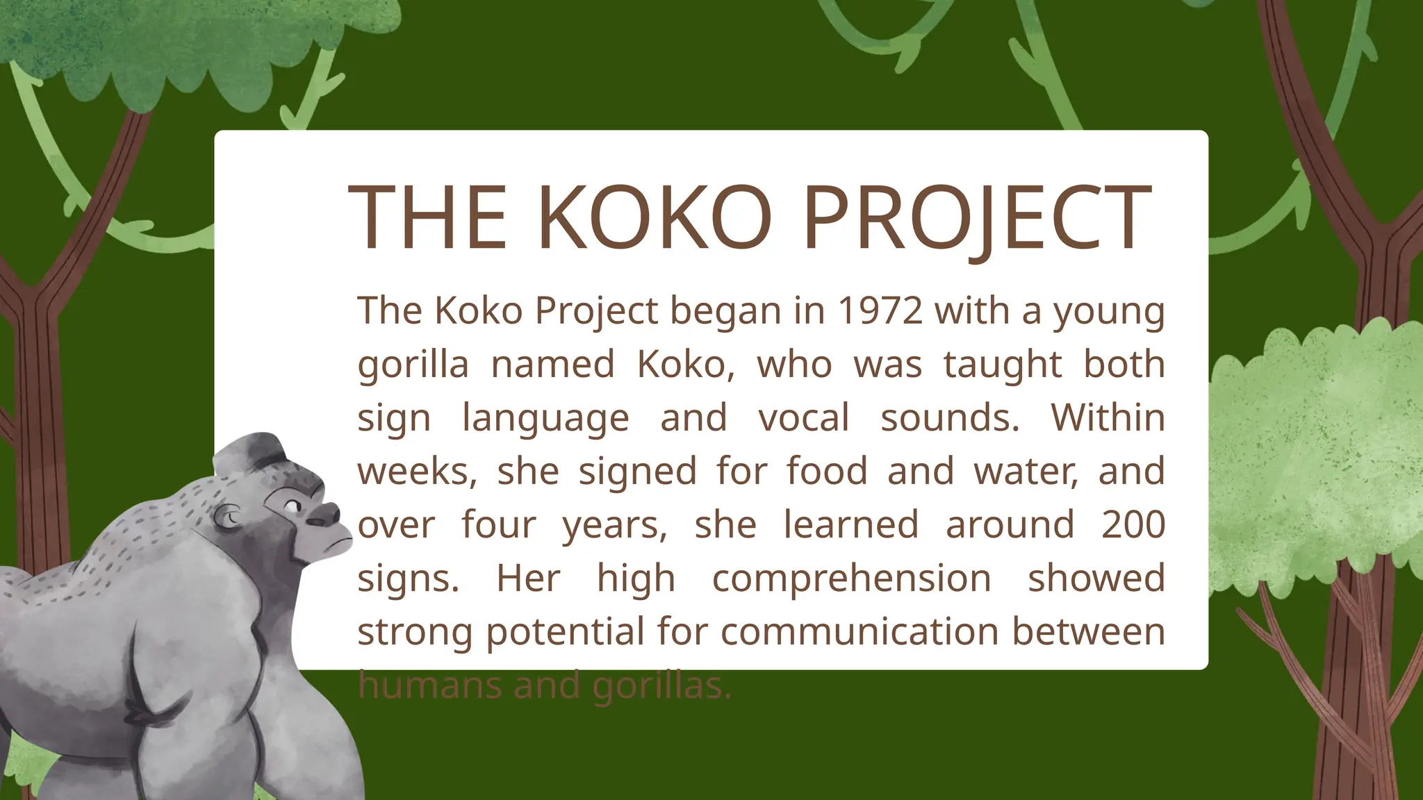 Non-human communication -Presentation.pptx