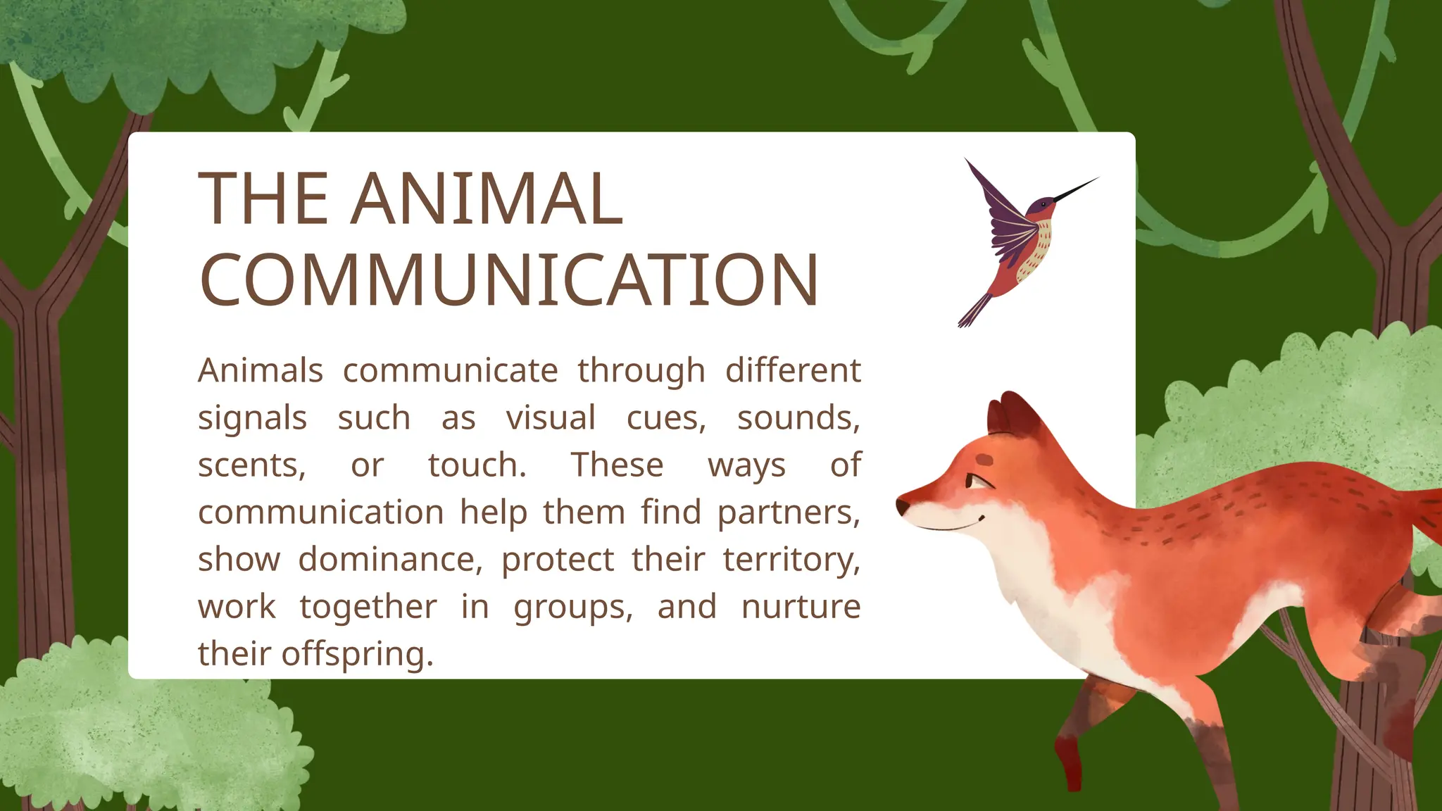 Non-human communication -Presentation.pptx