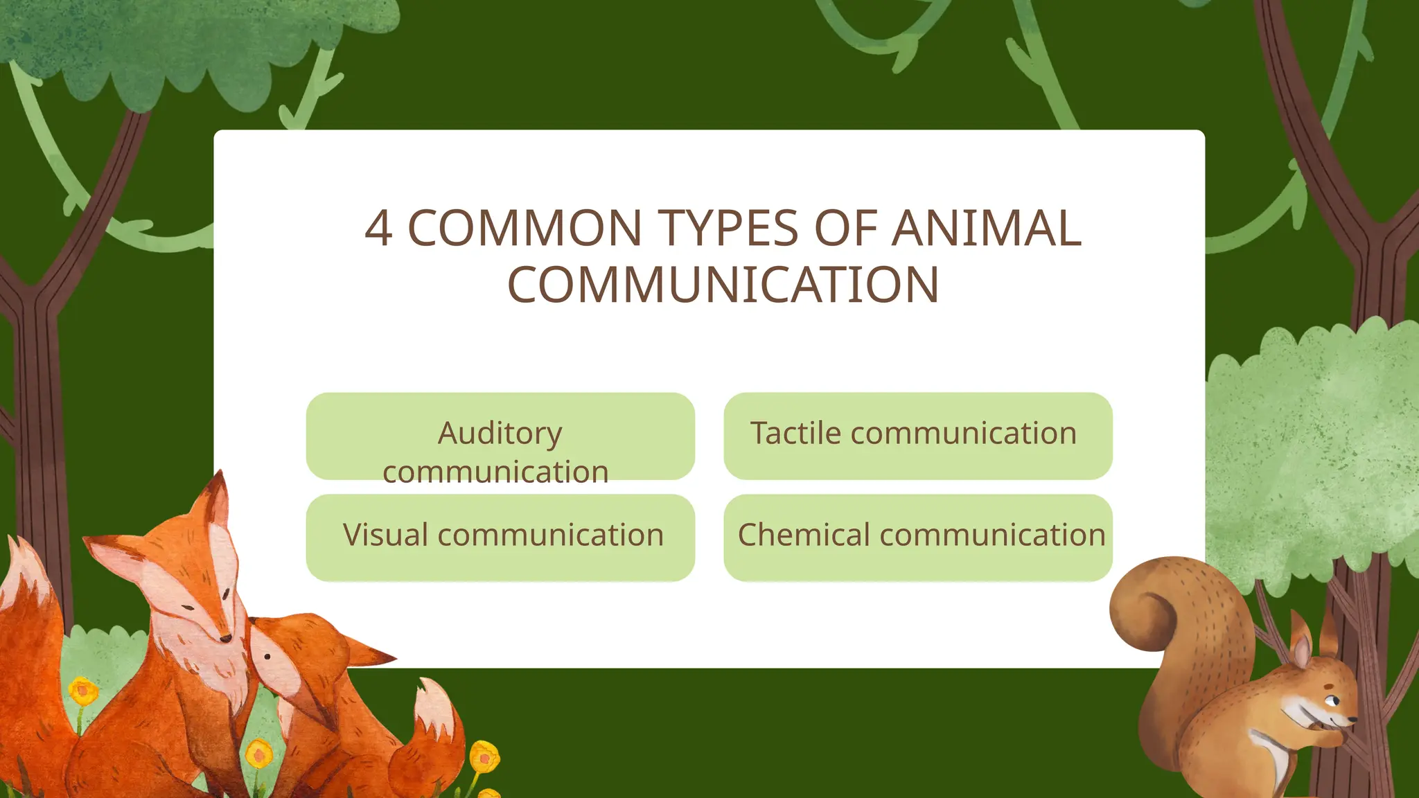 Non-human communication -Presentation.pptx