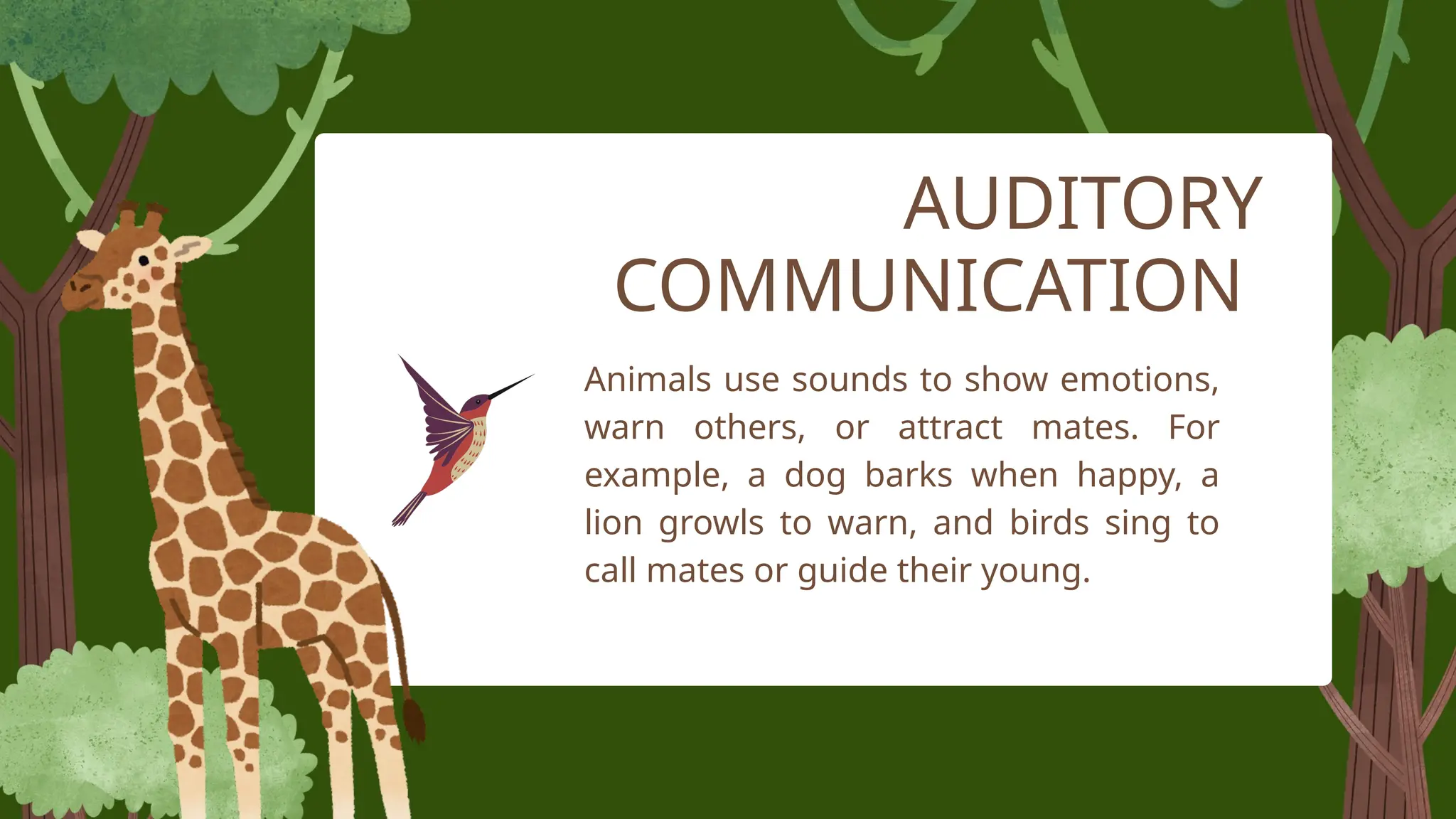 Non-human communication -Presentation.pptx